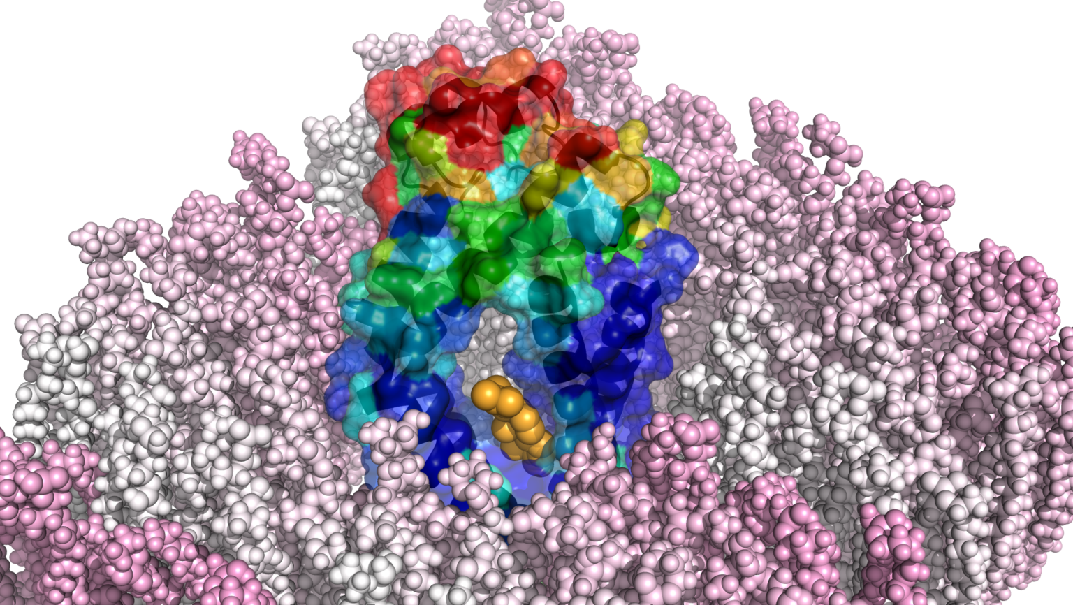 Bioinformatics MSc | Courses | University of Liverpool