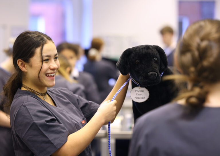 Bioveterinary Science BSc (Hons) | Courses | University of Liverpool