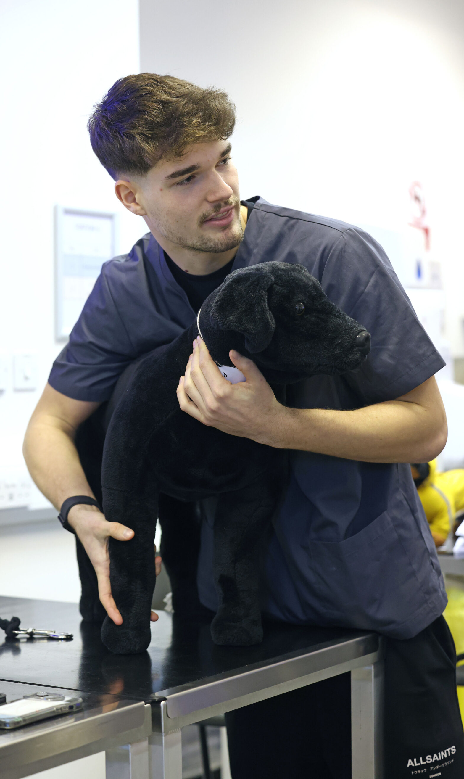 Bioveterinary Science BSc (Hons) | Courses | University of Liverpool