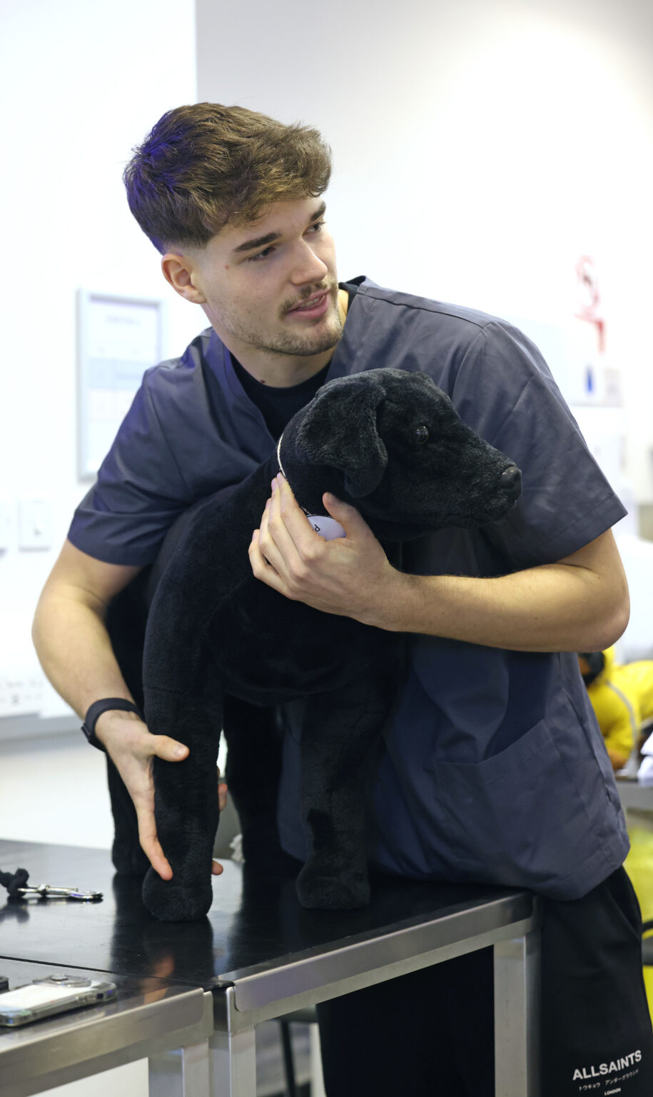 Bioveterinary Science BSc (Hons) | Courses | University of Liverpool