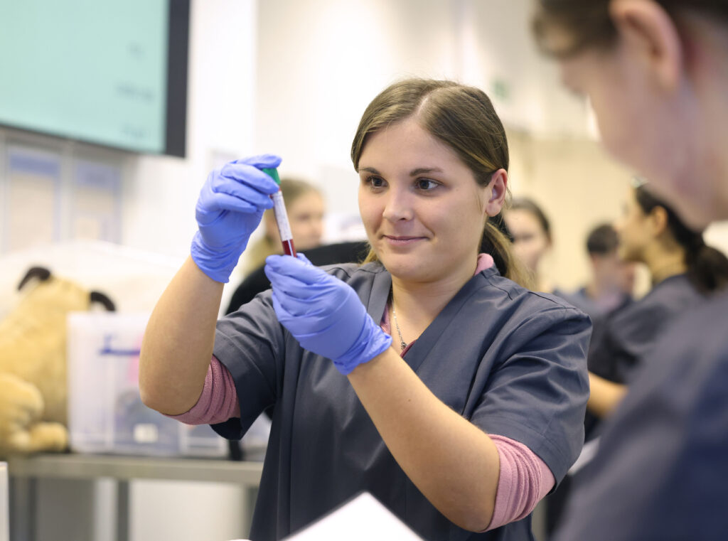 Veterinary Science BVSc | Courses | University of Liverpool