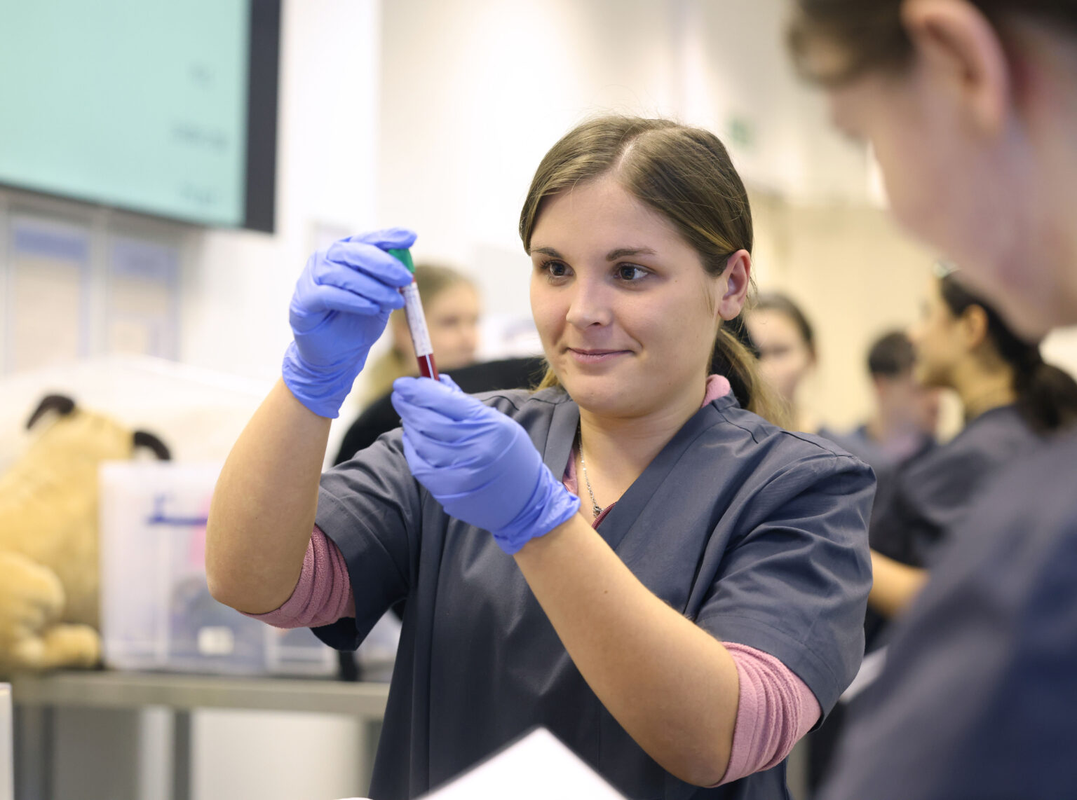 Bioveterinary Science BSc (Hons) | Courses | University of Liverpool
