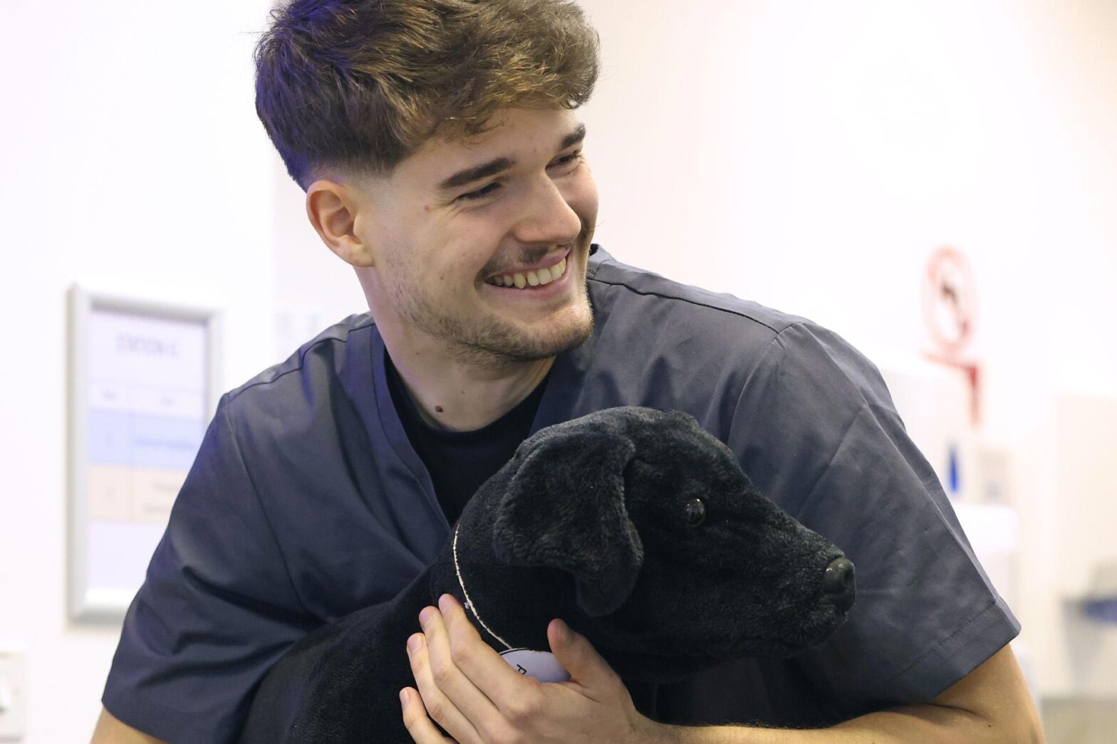 Bioveterinary Science BSc (Hons) | September 2026 entry | Courses ...