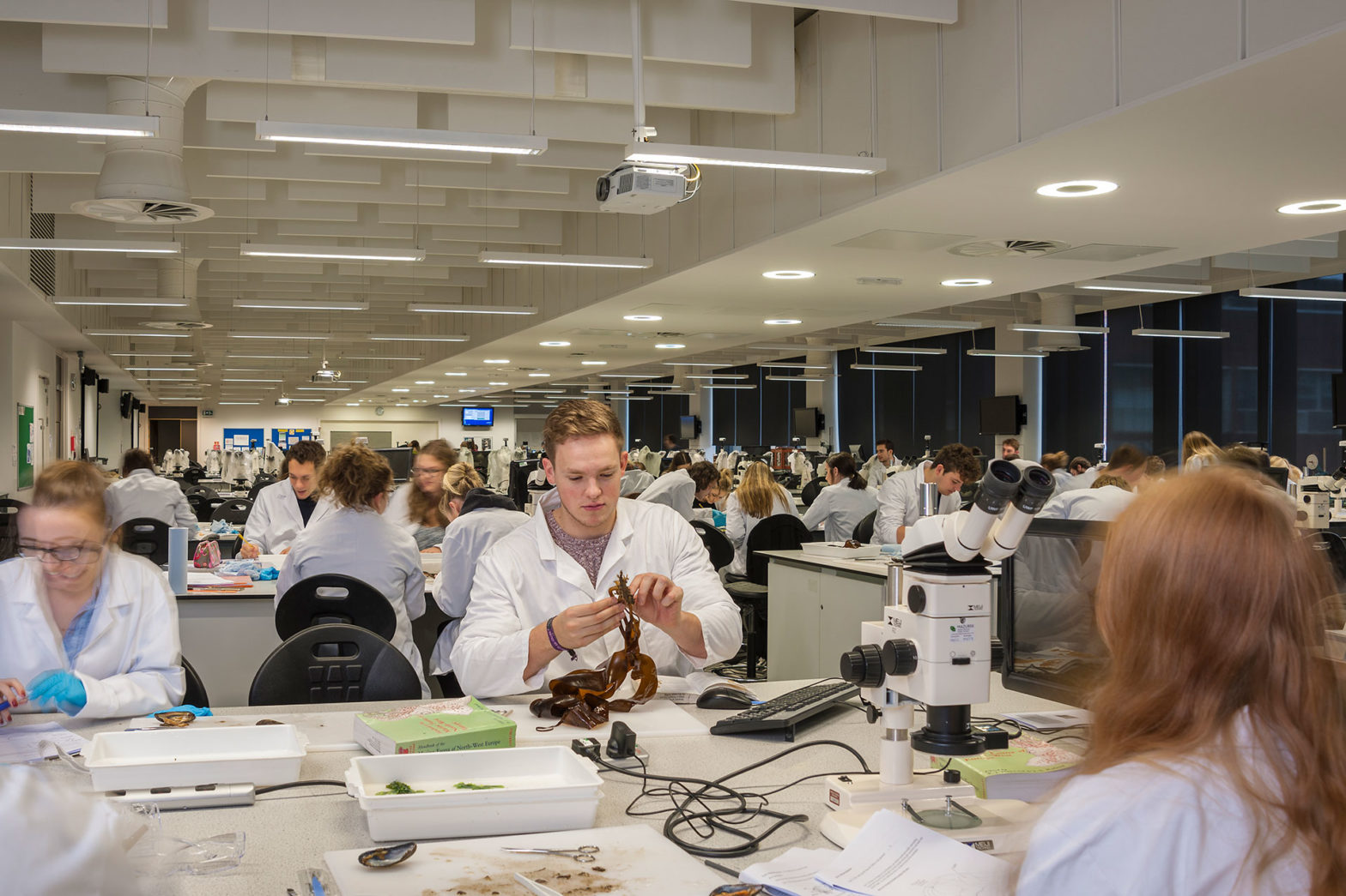 Chemistry MChem | Courses | University of Liverpool