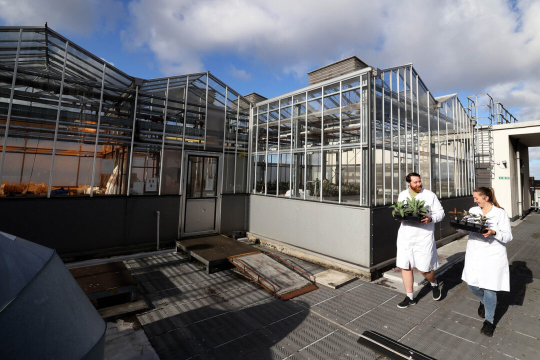 Biological Sciences BSc (Hons) | Courses | University of Liverpool