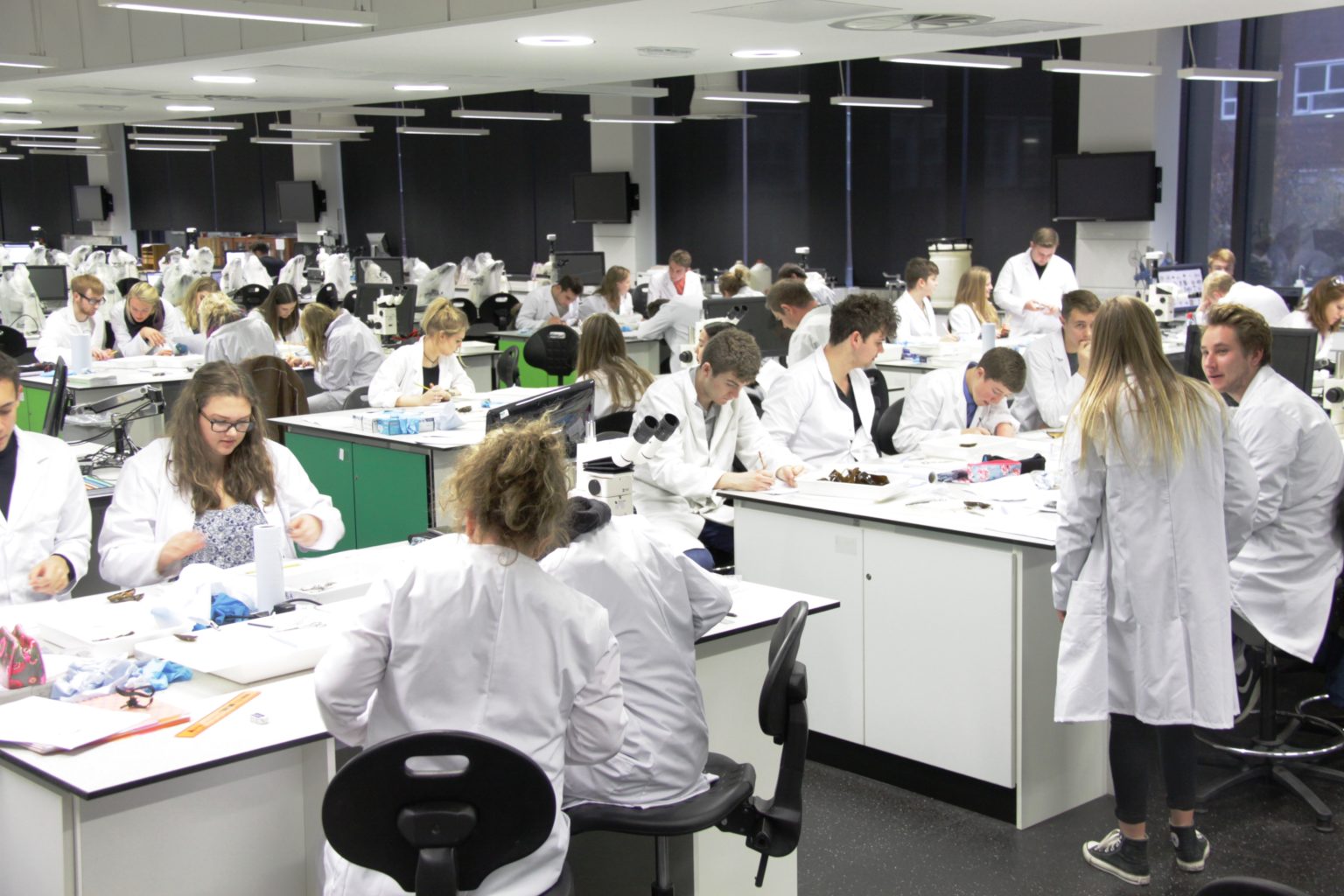 Environmental Science BSc (Hons) | Courses | University of Liverpool