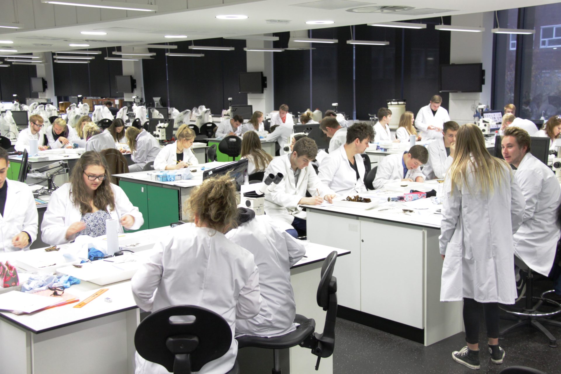 Environmental Science BSc (Hons) | Courses | University of Liverpool