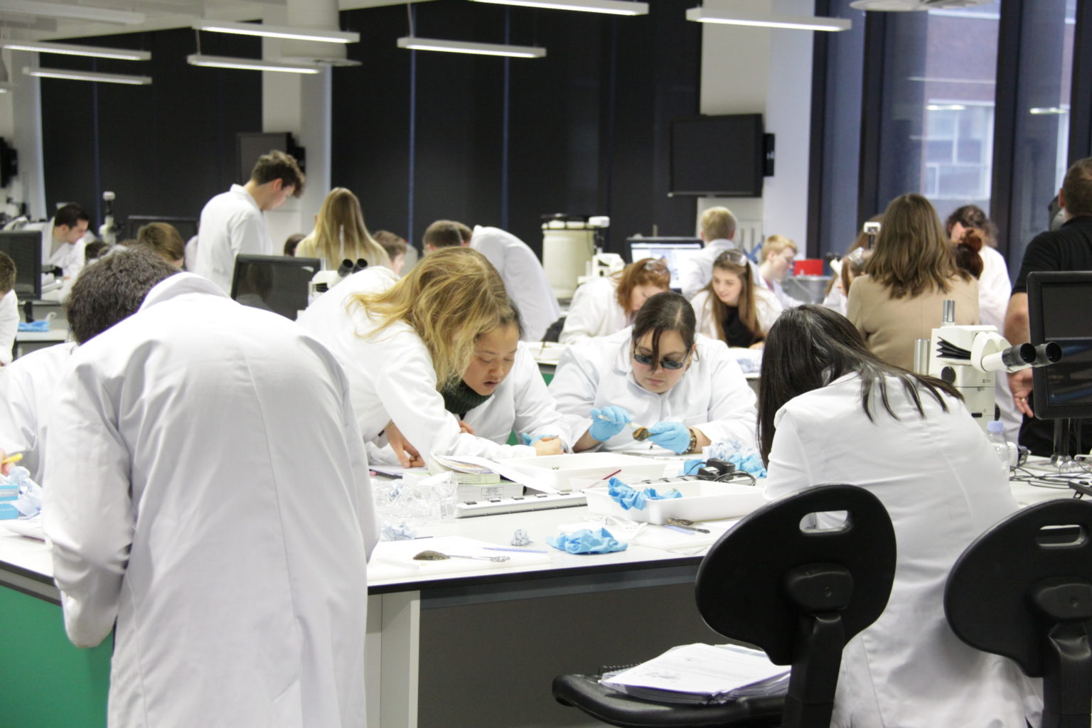 Marine Biology BSc (Hons) | Courses | University of Liverpool