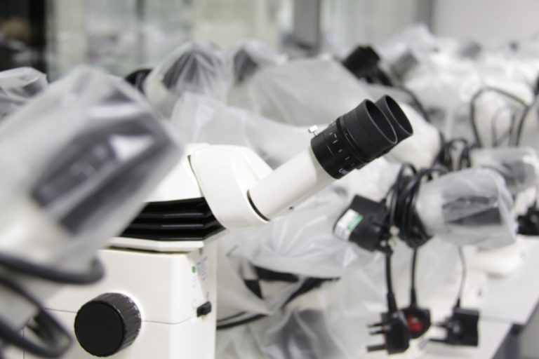 Marine Biology BSc (Hons) | September 2026 entry | Courses | University ...