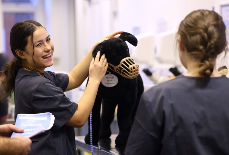 Veterinary Science | Subjects | Courses | University of Liverpool